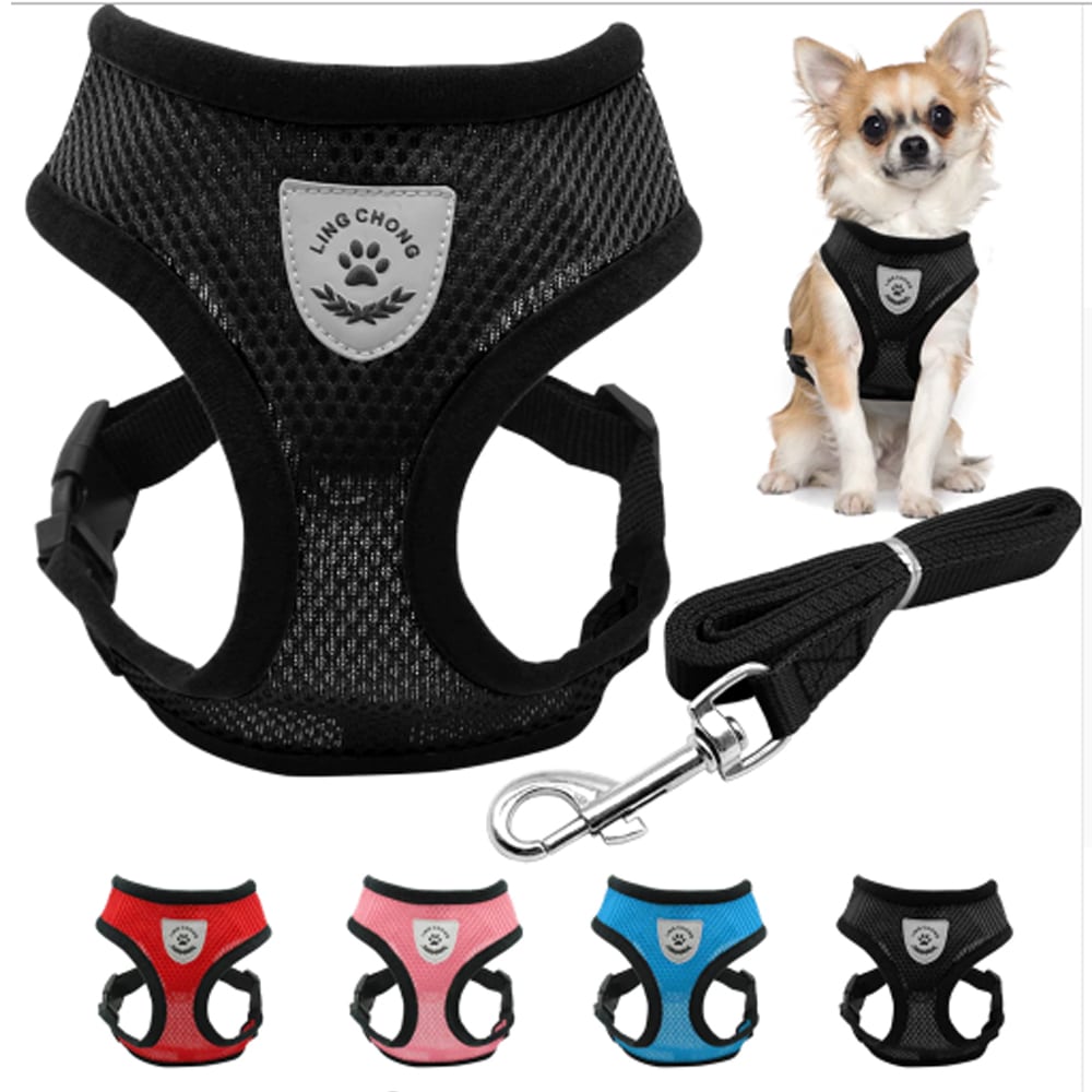 Beisli fyrir minni hunda - Litla gæludýrabúðin